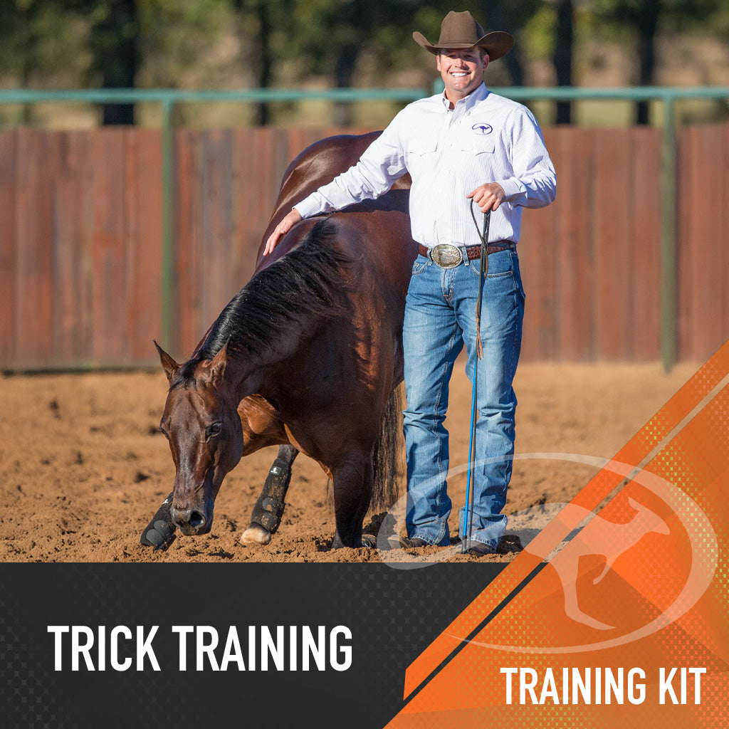 Trick Training Series - Digital Download – Downunder Horsemanship Inc.